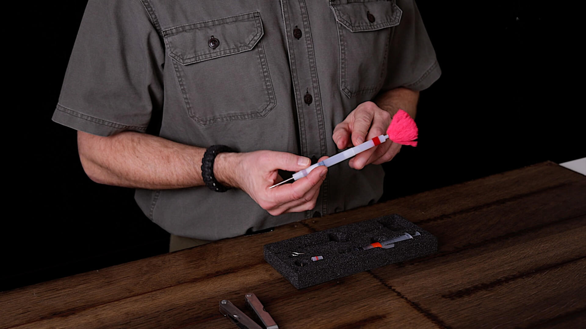 New microchip dart will make tagging of semi-wild animals much easier